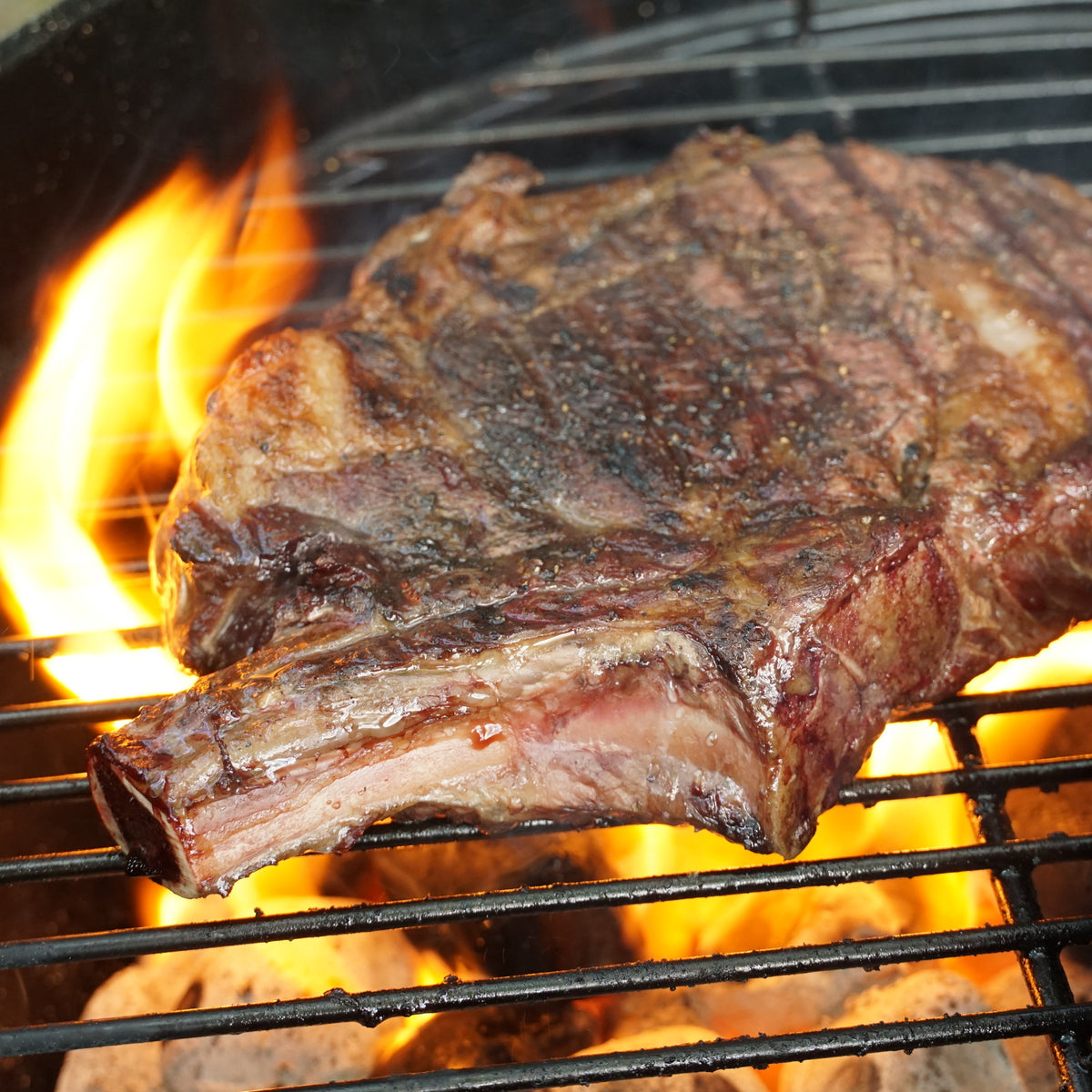 Romantic Duo – Morgan Ranch Beef